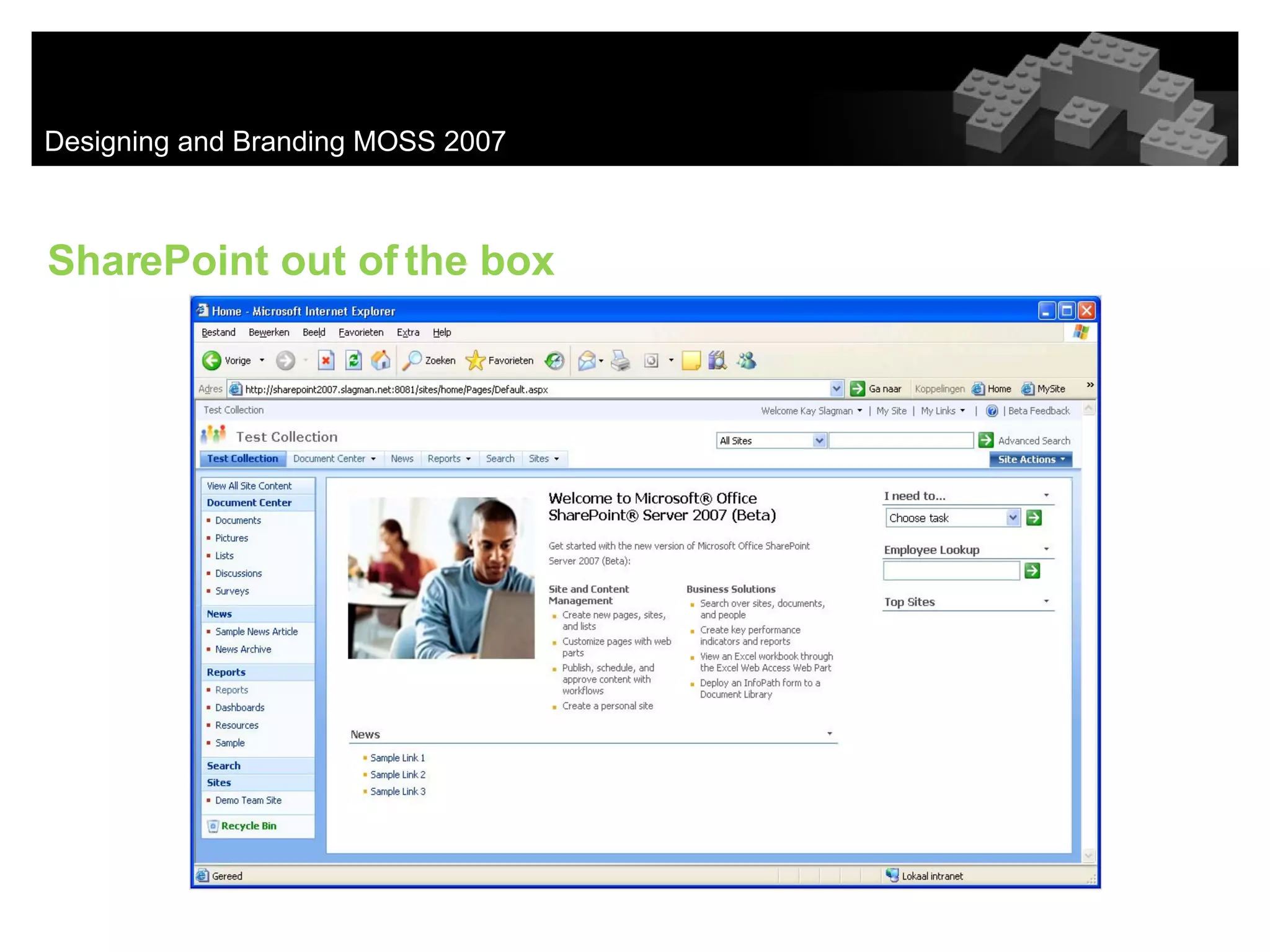 Case study: Designing and Branding Microsoft Office Sharepoint Server ...