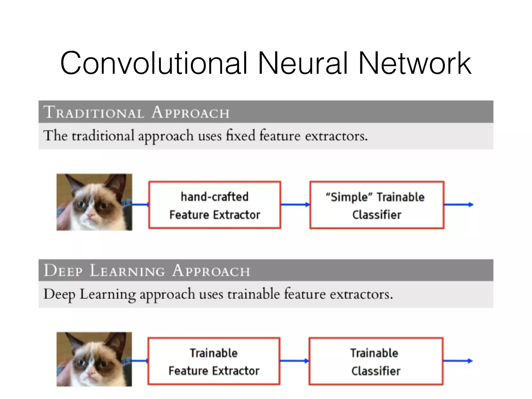 Case Study of Convolutional Neural Network | PDF | Artificial Intelligence | Technology & Computing