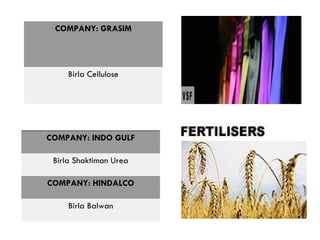 Case Study On Aditya Birla Group | PPT