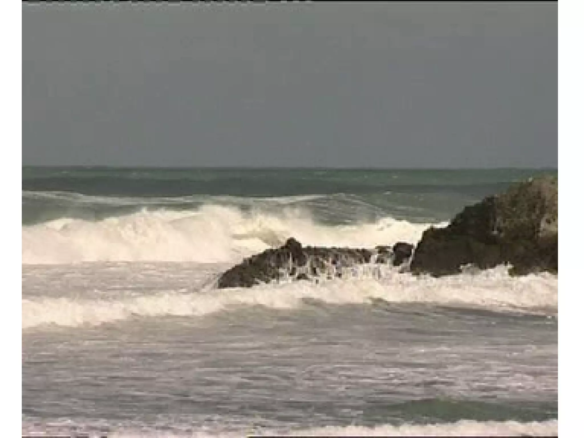 Case Study: Piha Rescue | PPT