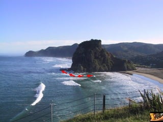 Case Study: Piha Rescue | PPS | Television | Entertainment