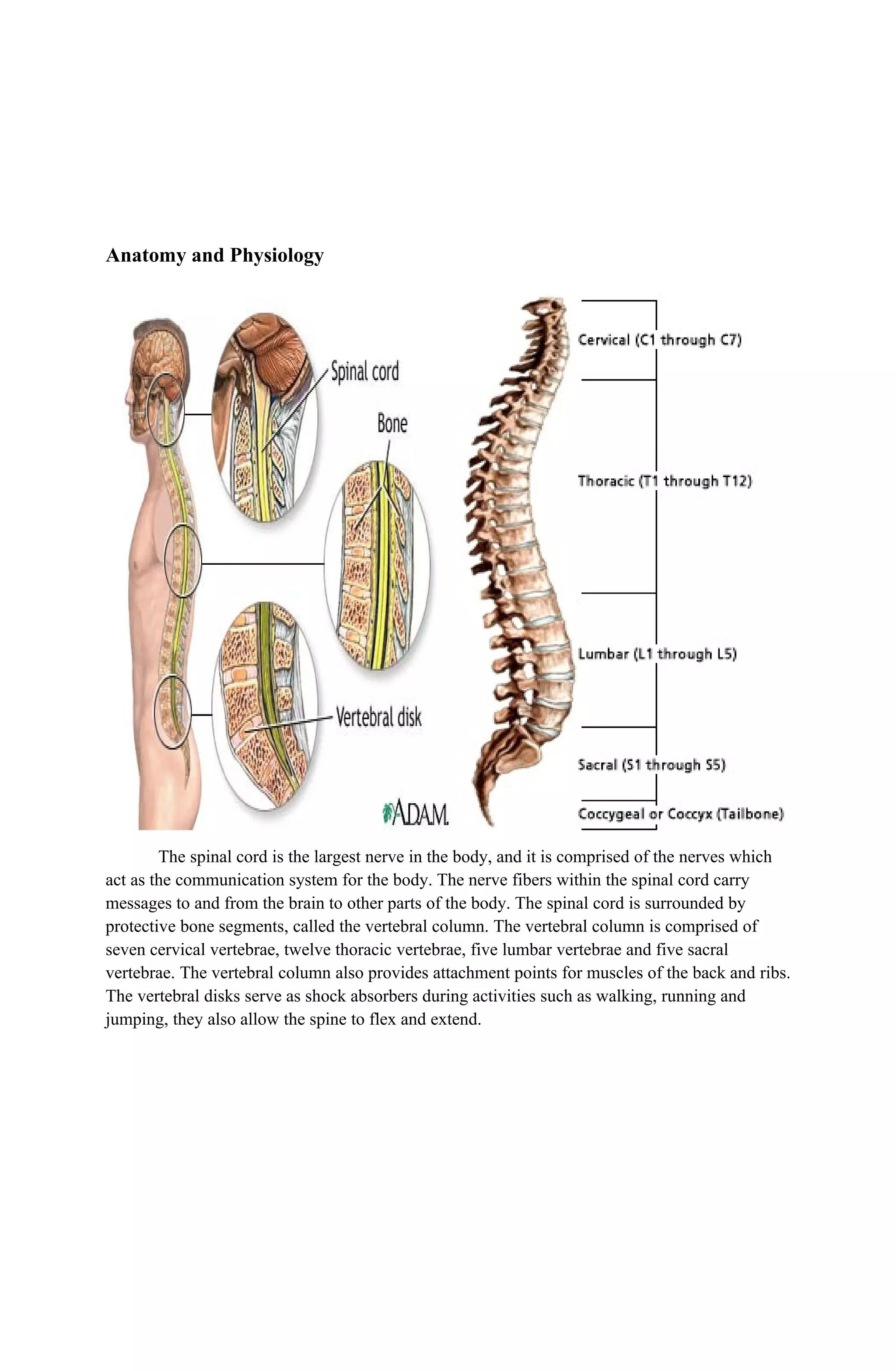 Nursing Case study potts disease | DOC