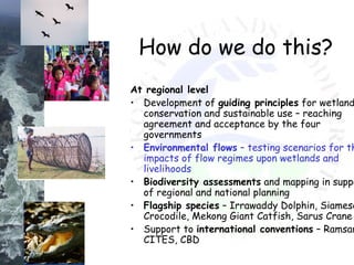Case study:The Mekong Wetlands Biodiversity Programme (Meynell, Peter-John) | PPT