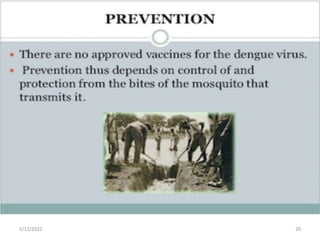 A Case Presentation on Dengue With Warning Signs | PPTX