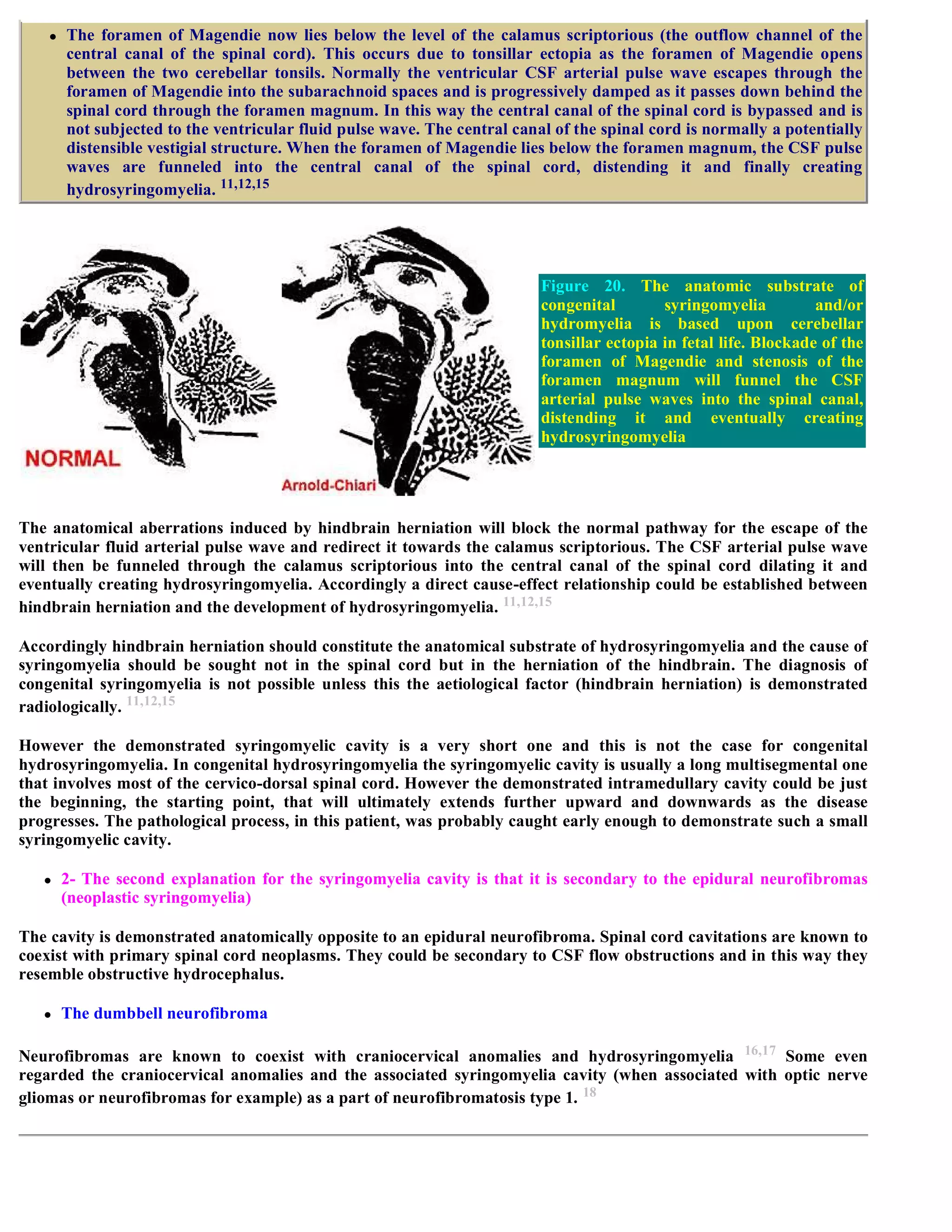 Case record...Congenital craniocervical anomalies | PDF