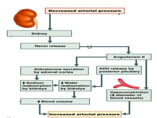trauma and bleeding (hemorrhagic shock) | PPTX