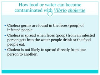 Cholera | PPT