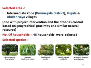 CASE STUDY ( Local tree use) | PPT