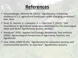 CASE STUDY ( Local tree use) | PPT