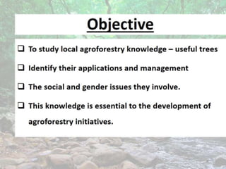 CASE STUDY ( Local tree use) | PPTX