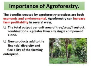 CASE STUDY ( Local tree use) | PPT