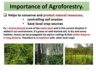 CASE STUDY ( Local tree use) | PPT