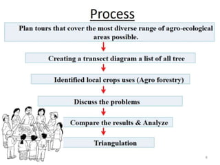 CASE STUDY ( Local tree use) | PPT