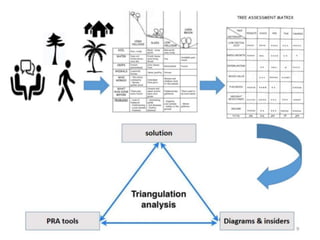CASE STUDY ( Local tree use) | PPT