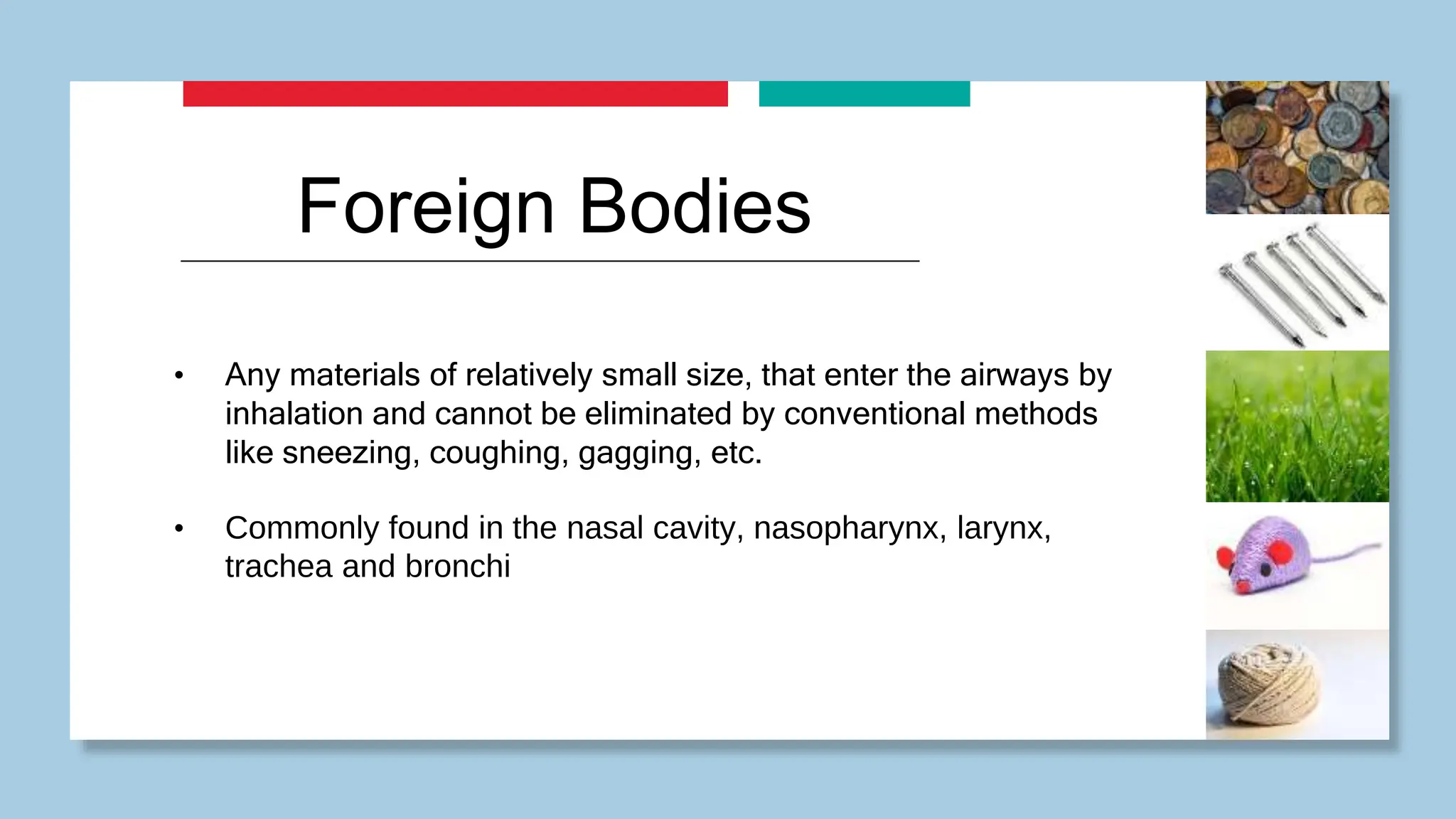 Case2.Pido (An unusual foreign body in a cat)..pptx