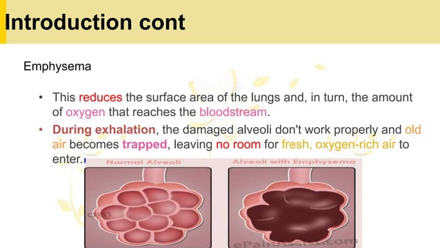 Emphysema | PPTX | Lung and Respiratory Health | Diseases and Conditions