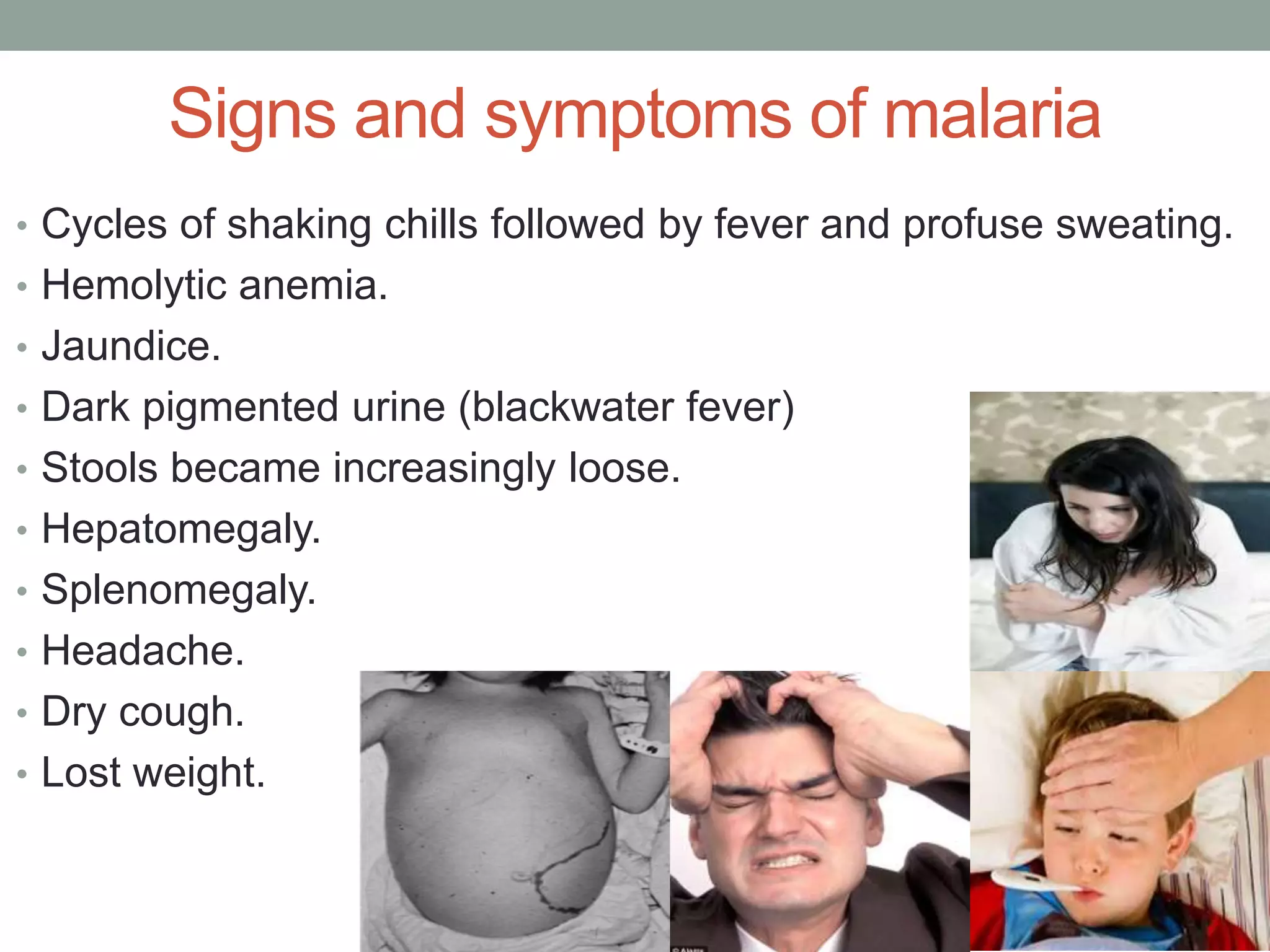 Malaria (Everything about it) | PPTX