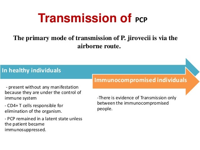 Pneumocystis Jiroveci Pneumonia In Hiv