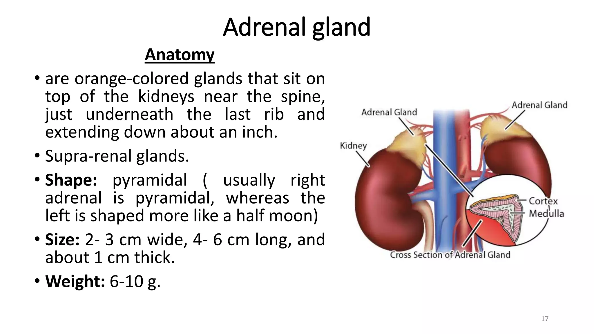 Case addisons disease | PPTX