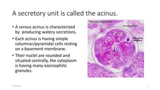 Case based learning glands | PPTX