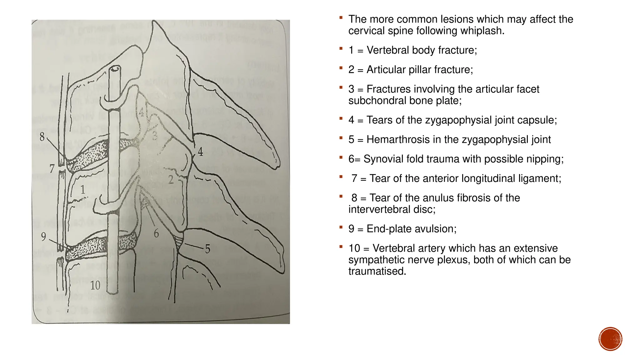 Case Chest Trauma forensic Medicine .pptx