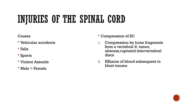 Case Chest Trauma forensic Medicine .pptx