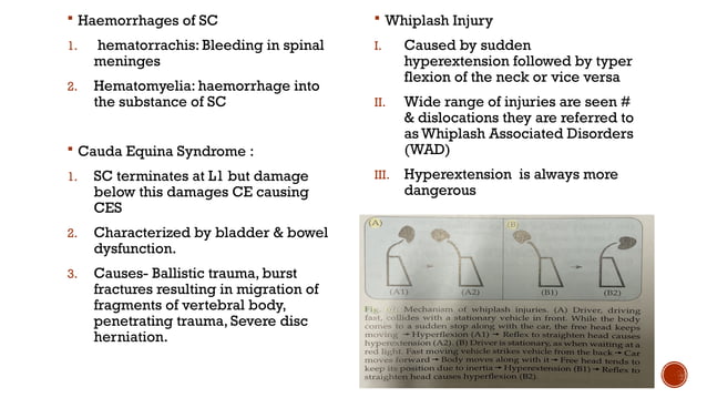 Case Chest Trauma forensic Medicine .pptx
