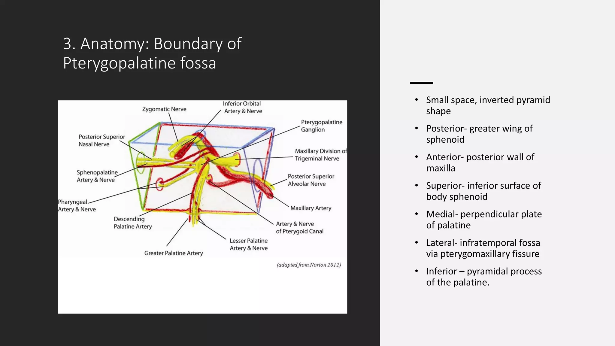 Juvenile nasopharyngeal angiofibroma (JNA) - Case discussion | PDF