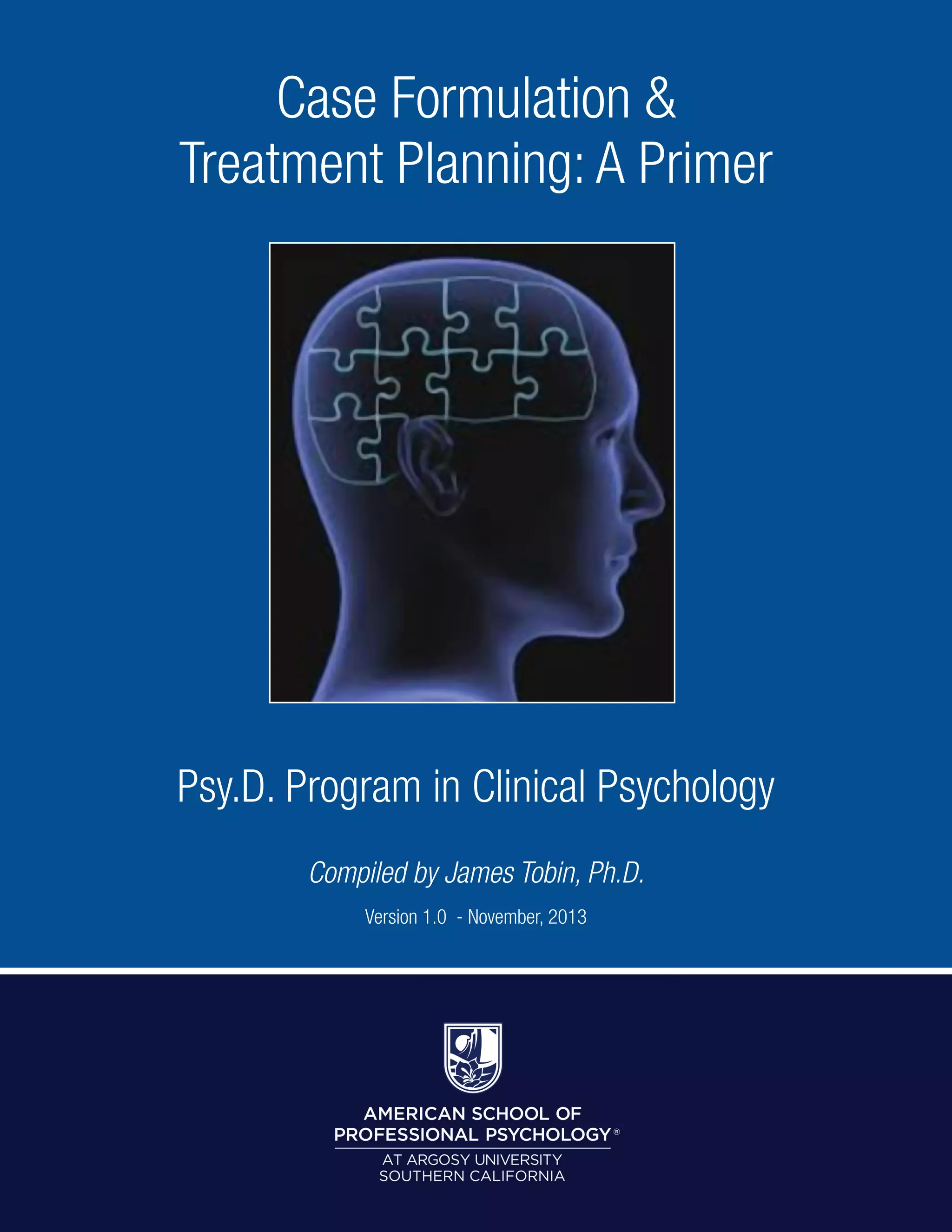 Clinical Psychology Case Formulation and Treatment Planning: A Primer | PDF