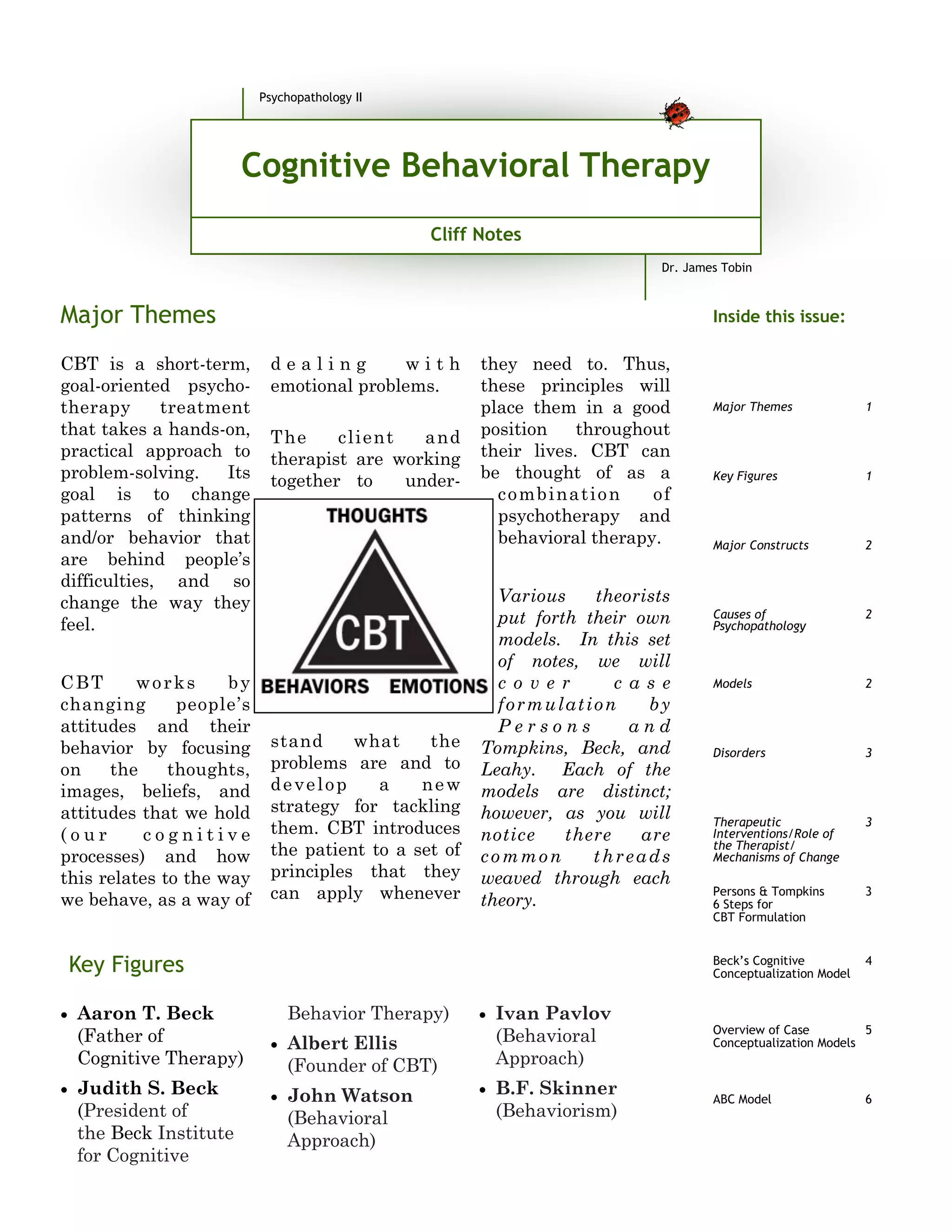 Clinical Psychology Case Formulation and Treatment Planning: A Primer | PDF