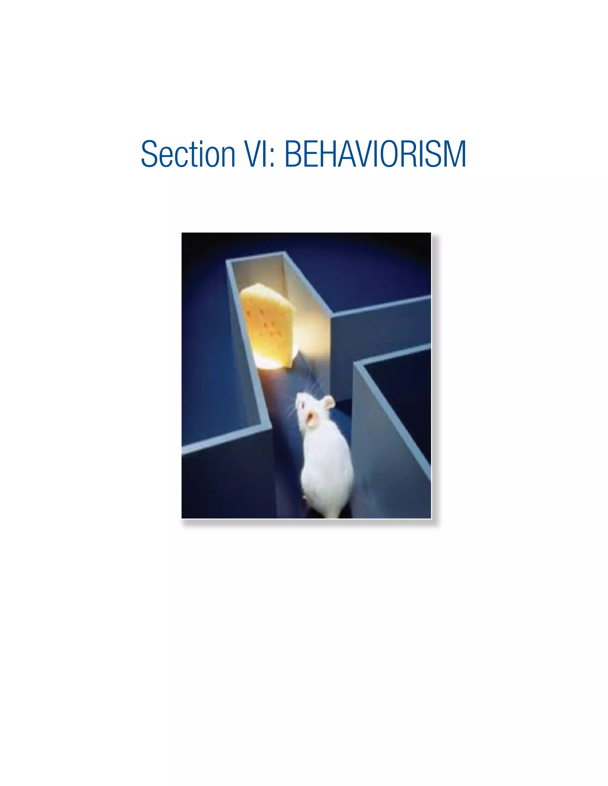 Clinical Psychology Case Formulation and Treatment Planning: A Primer | PDF