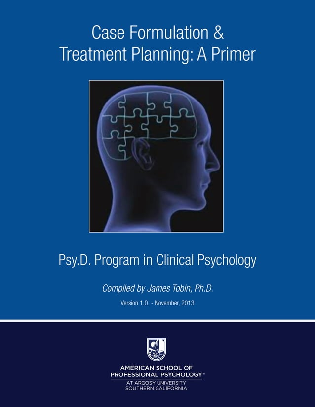 Clinical Psychology Case Formulation and Treatment Planning: A Primer | PDF