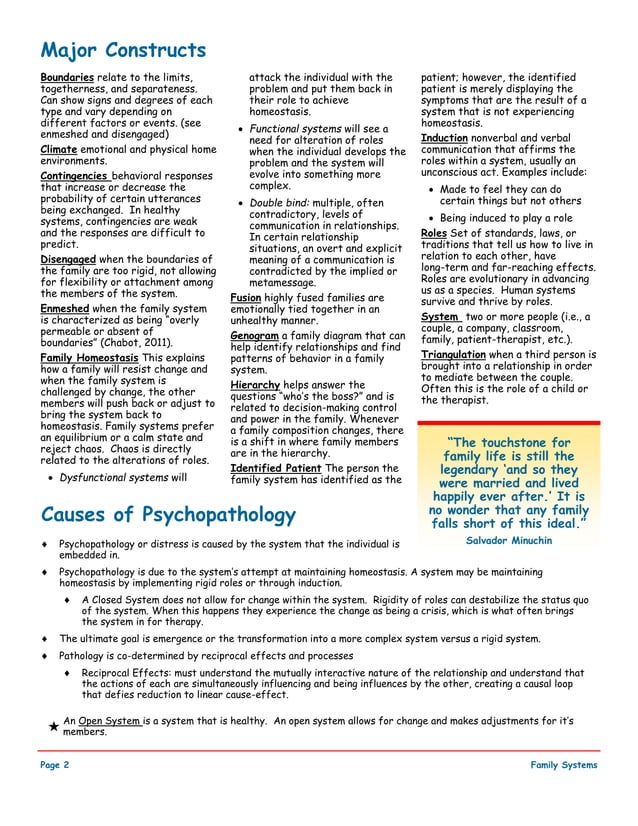 Clinical Psychology Case Formulation and Treatment Planning: A Primer | PDF