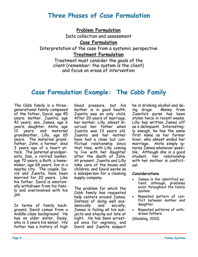 Clinical Psychology Case Formulation and Treatment Planning: A Primer | PDF