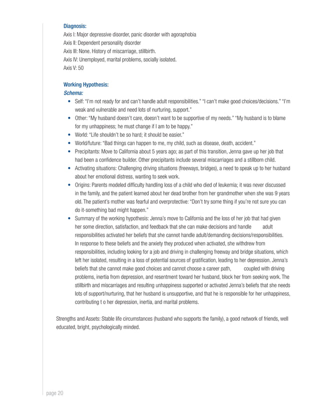 Clinical Psychology Case Formulation and Treatment Planning: A Primer | PDF