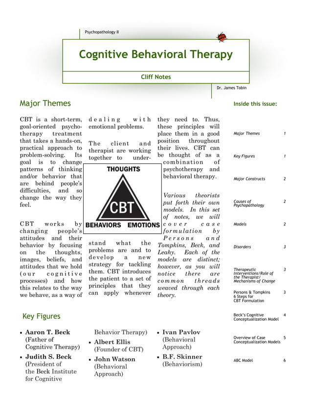 Clinical Psychology Case Formulation and Treatment Planning: A Primer | PDF