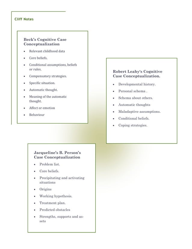 Clinical Psychology Case Formulation and Treatment Planning: A Primer | PDF