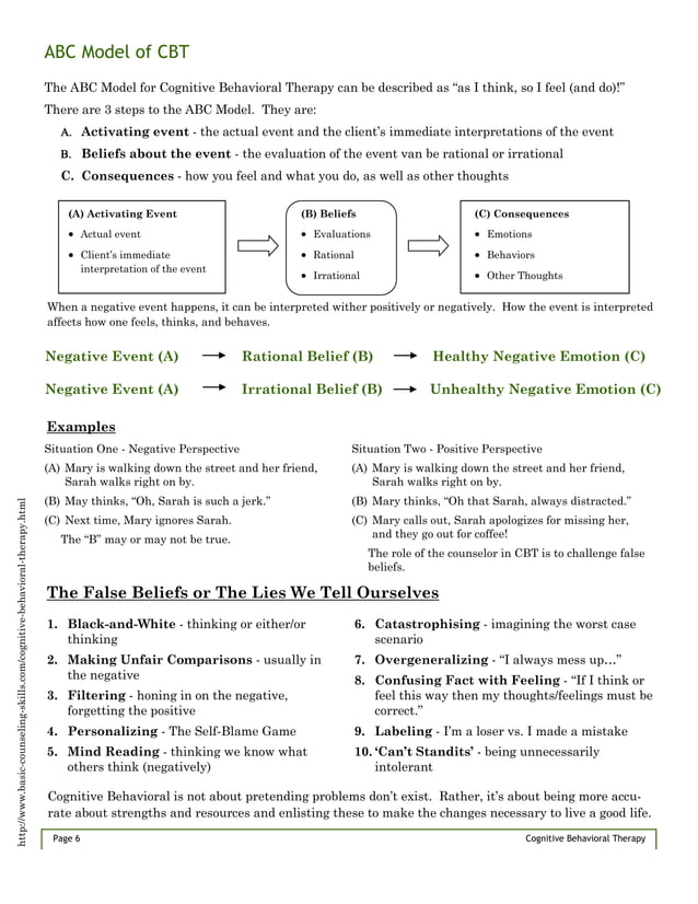 Clinical Psychology Case Formulation and Treatment Planning: A Primer | PDF