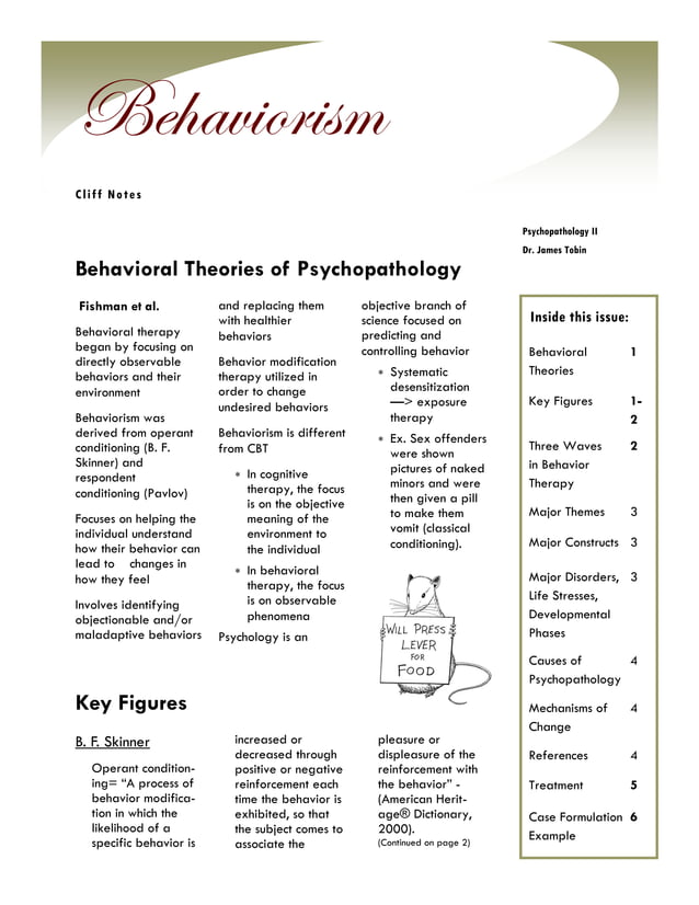 Clinical Psychology Case Formulation and Treatment Planning: A Primer | PDF