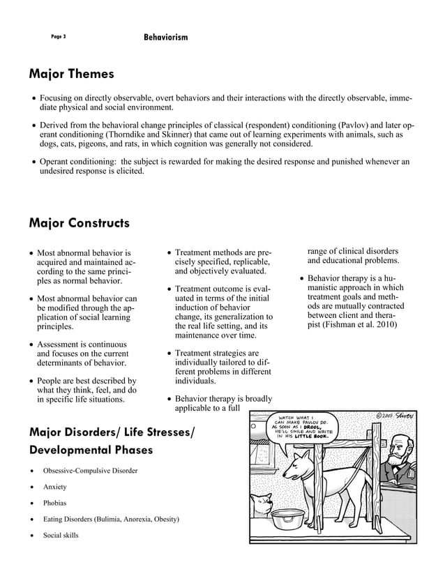 Clinical Psychology Case Formulation and Treatment Planning: A Primer | PDF