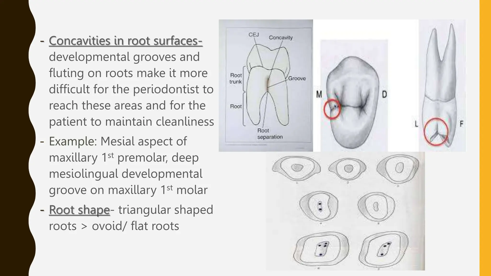 Case History taking in periodontology .pptx