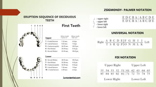 Case history pedodontics | PPTX | Dental Health | Diseases and Conditions