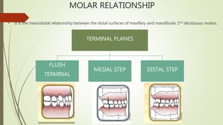 Case history pedodontics | PPTX | Dental Health | Diseases and Conditions