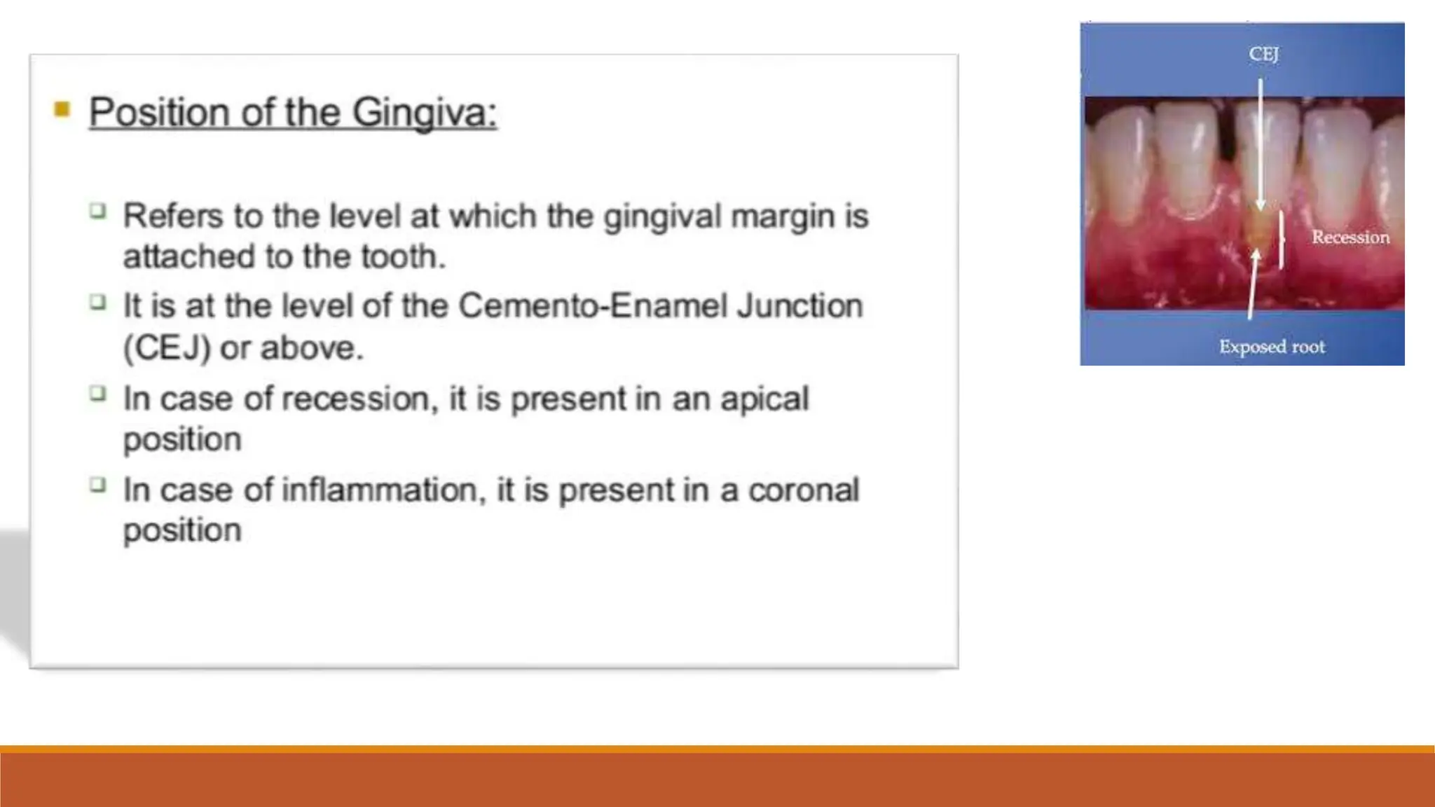 intraoral and extraoral examination.pptx