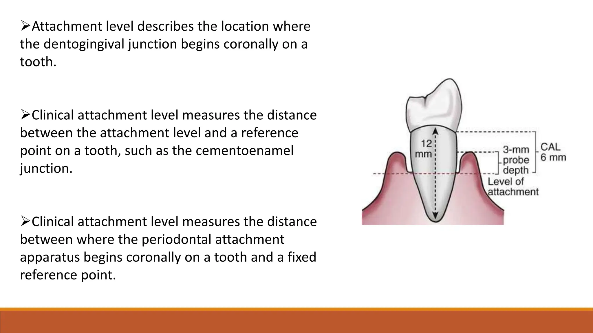 intraoral and extraoral examination.pptx