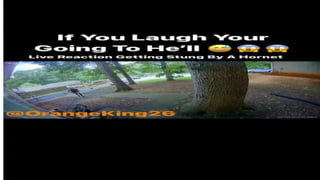 Recent Updates Anaphylaxis And Anaphylaxis Shock Pptx