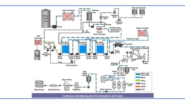 casein production at automization and it's process | PPT