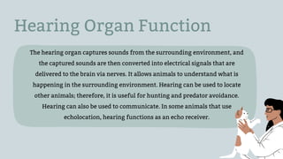 Case Method Sense of Hearing Group 3.pdf