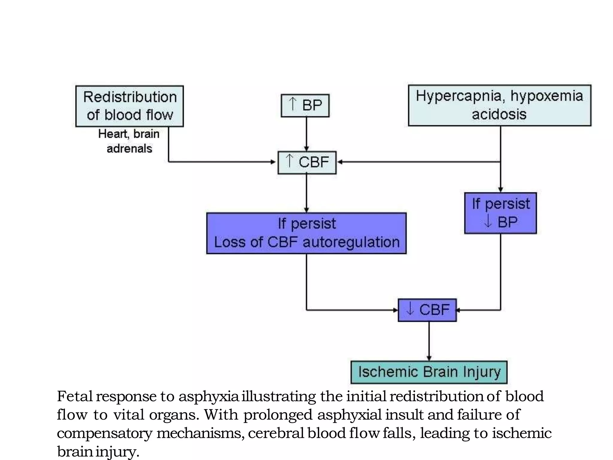Case of birth asphyxia | PPTX