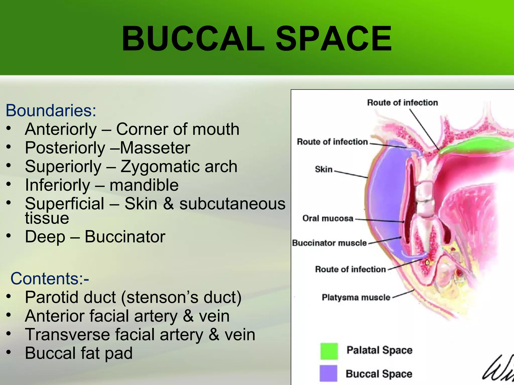 Case of space infection | PPT